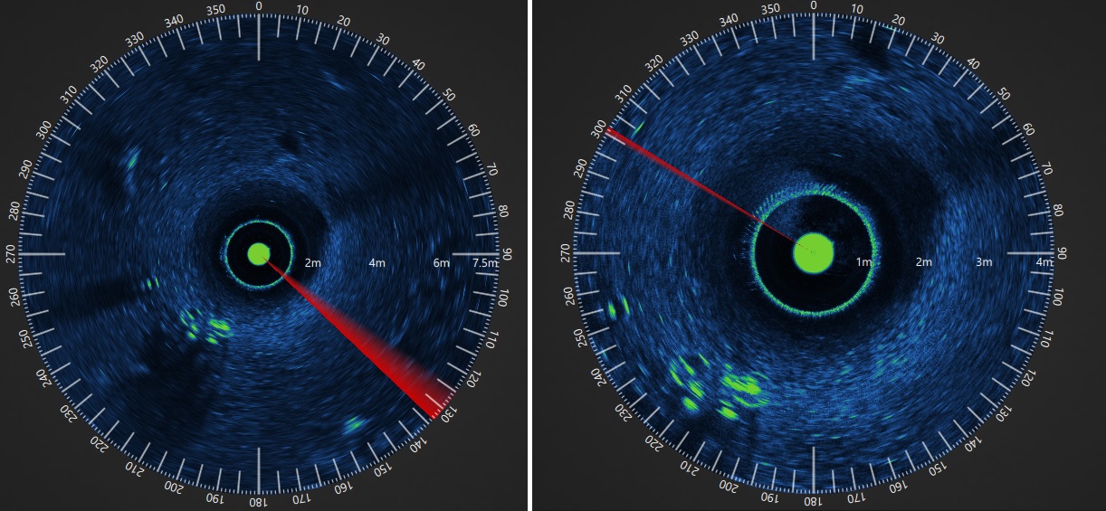 ISS360 – AUV & ROV Sonar – Impact Subsea